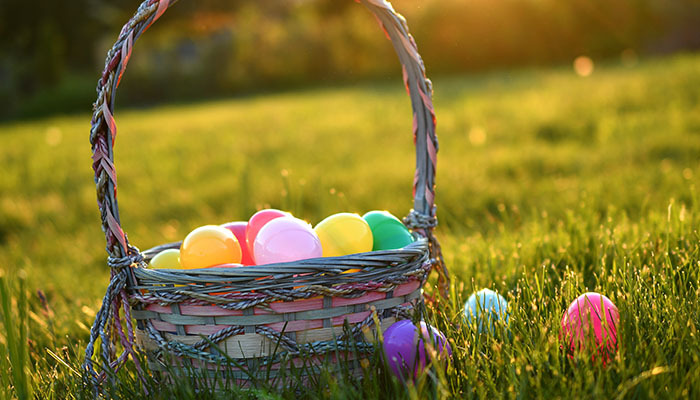 Easter Activities to do in Half Term | Manning Stainton